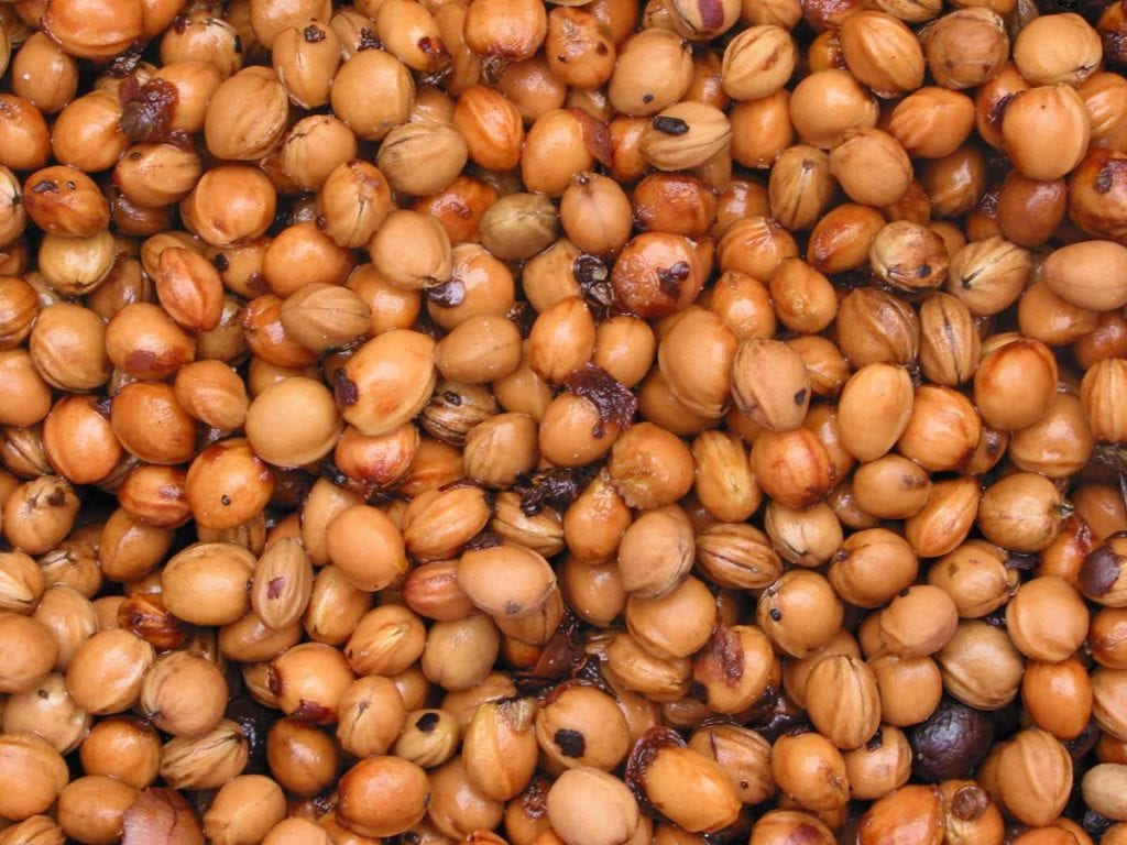 How to Extract Different Types of Tree Seed Ready to Grow