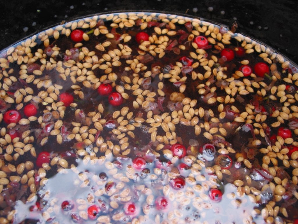 Extracting Seeds from Berries | How To Grow Trees